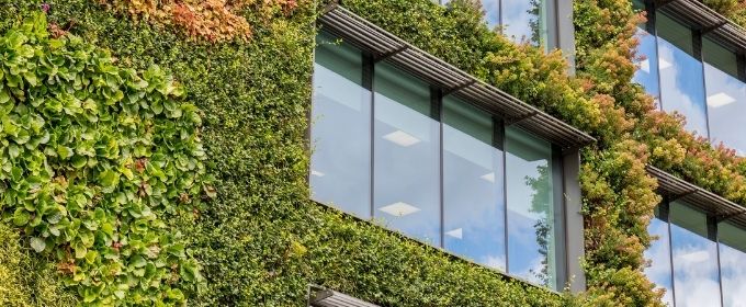 Urban greening and meaningful places